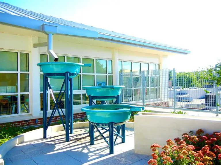 Is It Illegal To Collect Rainwater? - Water Browser